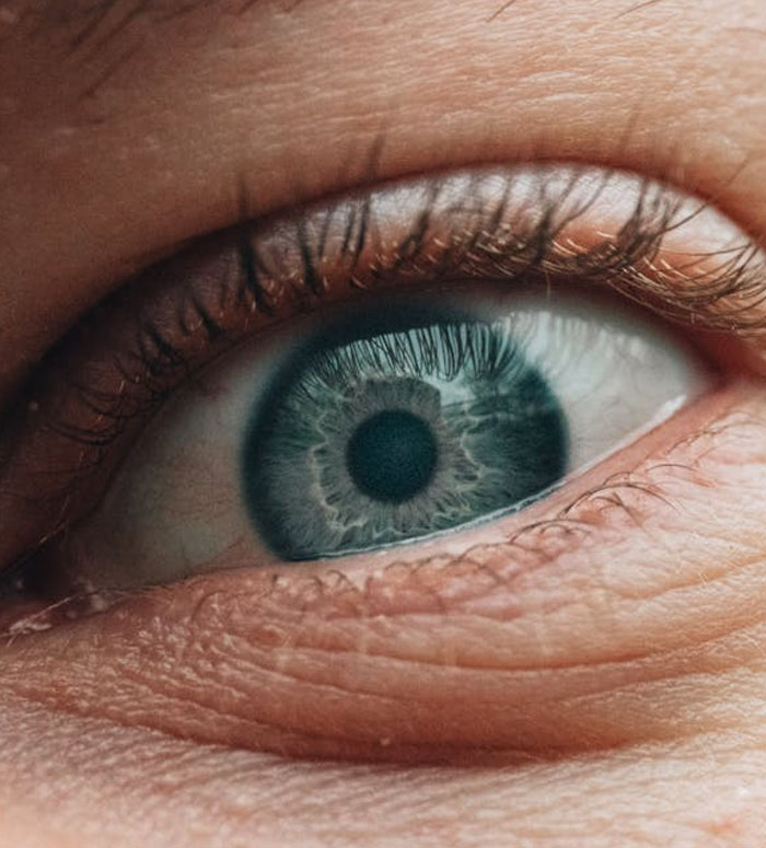 MacuShield - the UK's No. 1 eye health supplement brand