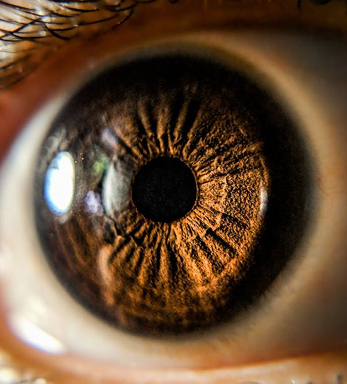 MacuShield - the UK's No. 1 eye health supplement brand