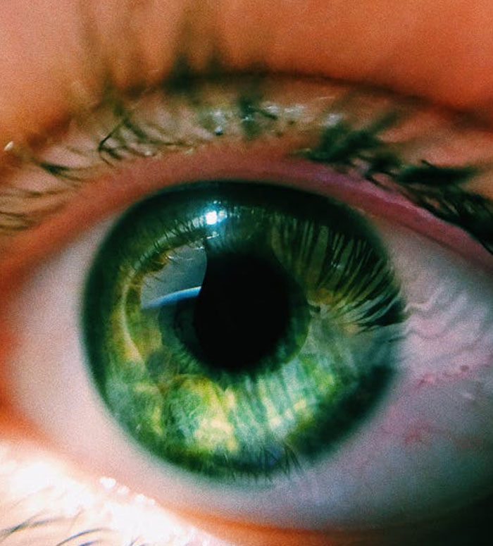 MacuShield - the UK's No. 1 eye health supplement brand